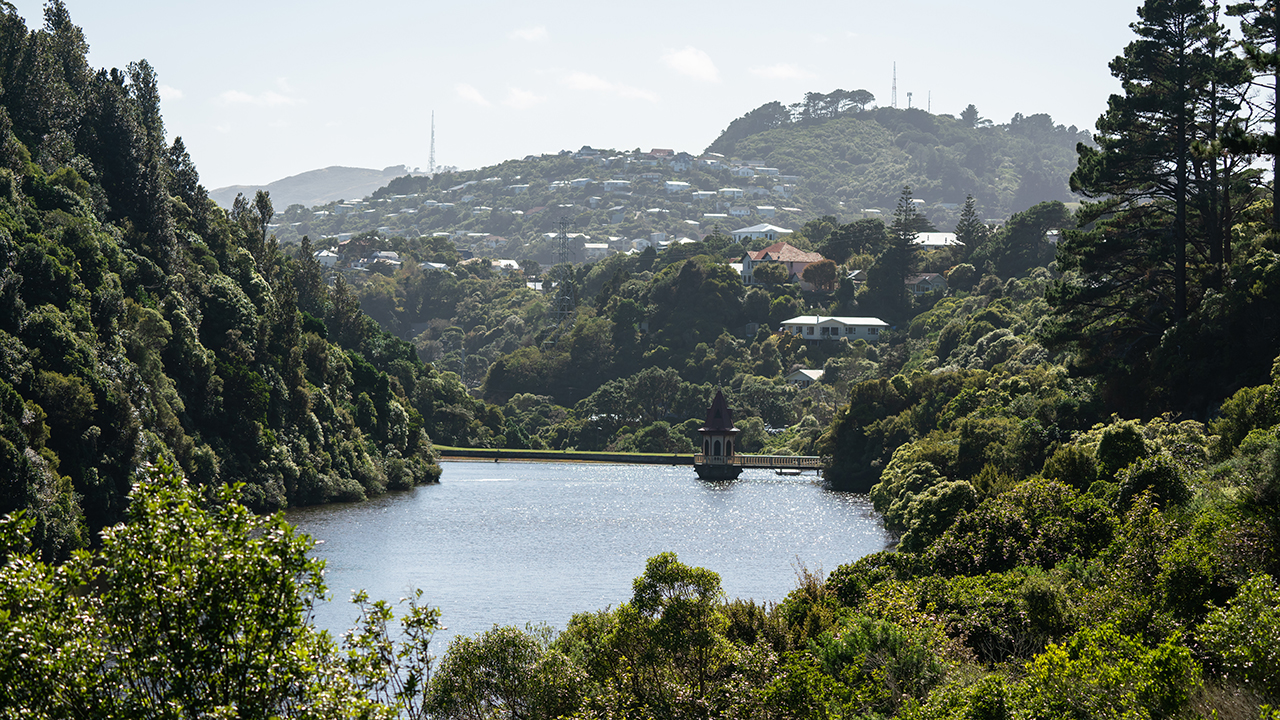 Biodiversity in the city | Monocle